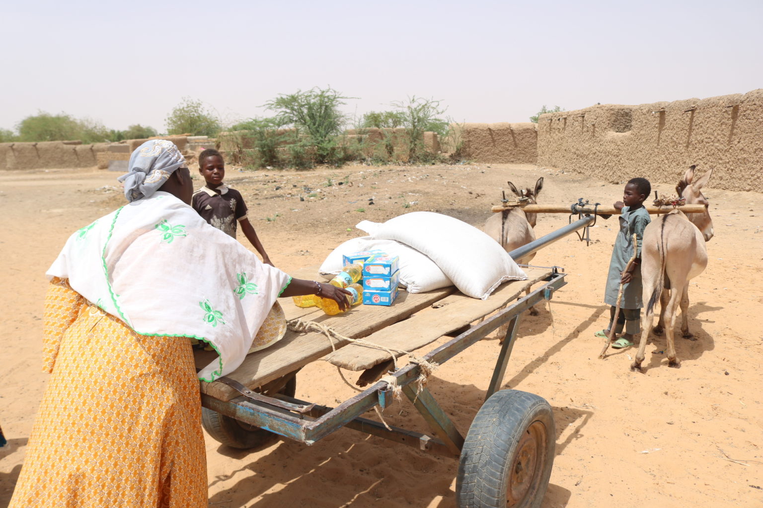 La historia de una madre que lucha por sus hijos en Níger - Islamic ...